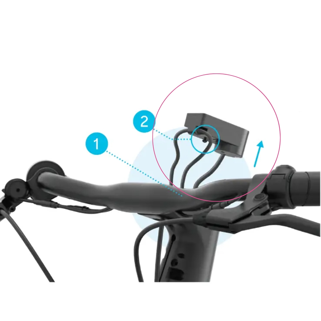 Buy the Bird bike display | Fatdaddy Europe